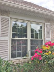 The Curious Ways Windows Open