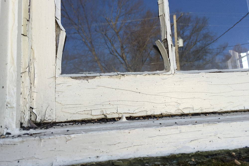Window Rot and How to Spot It