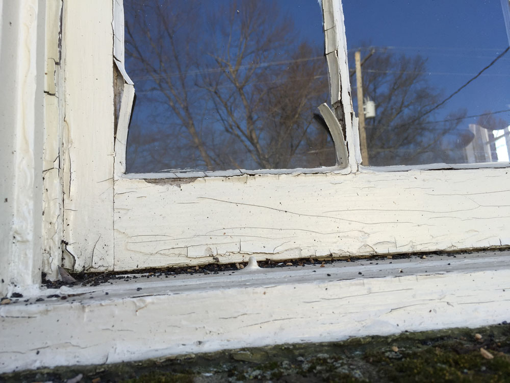 Window Rot and How to Spot It - Door Store and Windows